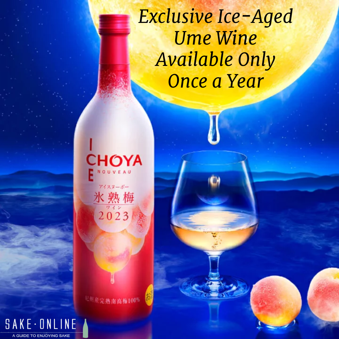 CHOYA ICE NOUVEAU Ume Wine 2023: A Unique Ume Wine Experience – Sakeonline