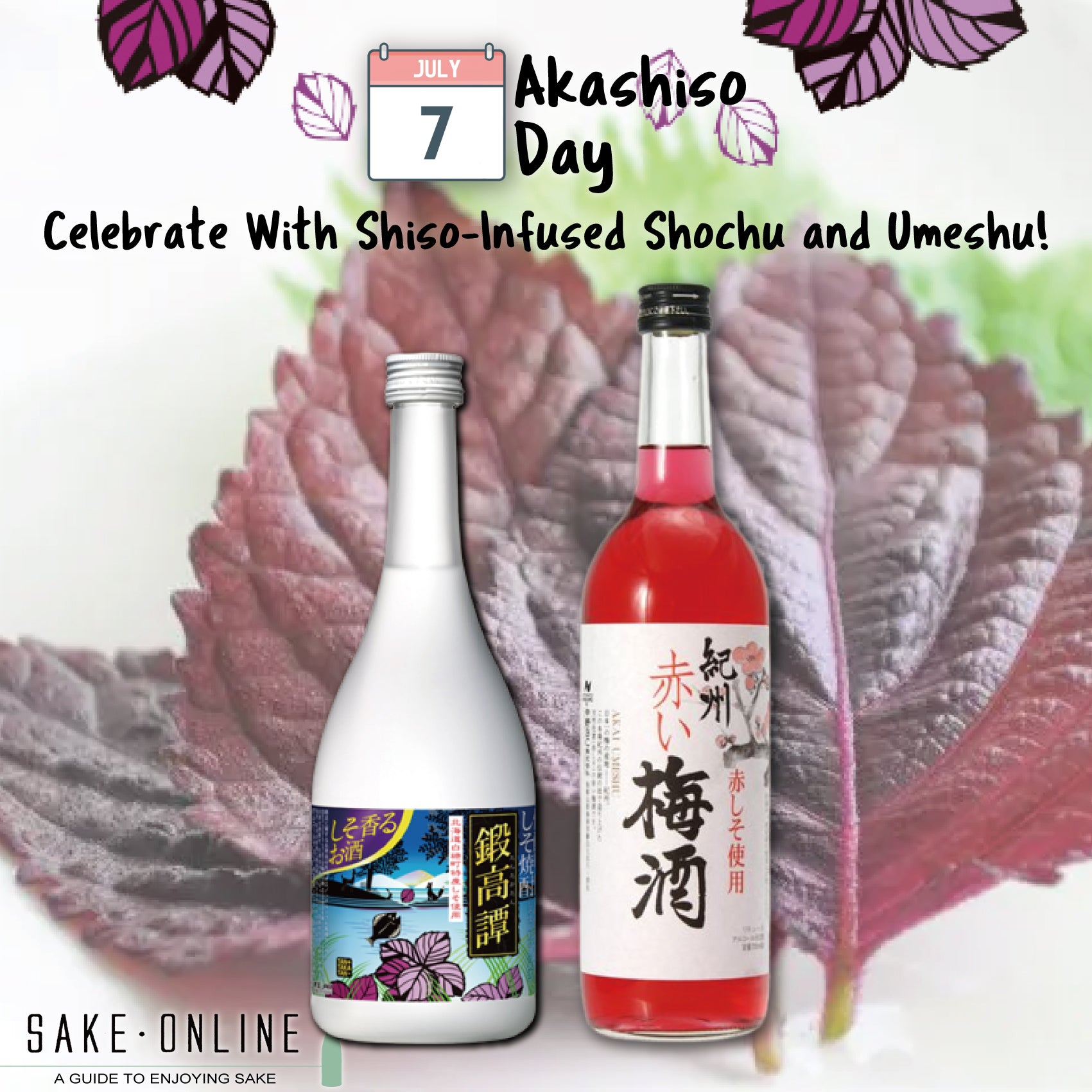 July 7 Is Akashiso Day! Celebrate With Shiso-Infused Shochu and Umeshu – Sakeonline
