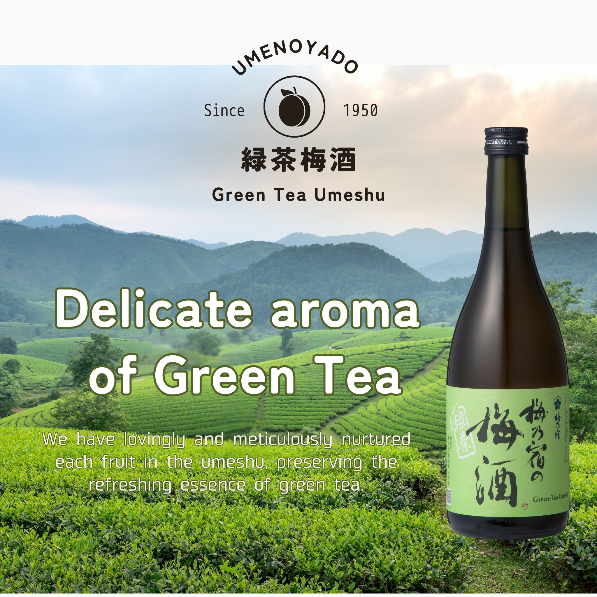 UMENOYADO Green Tea Umeshu – Sakeonline