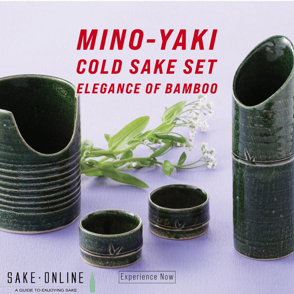 Experience the Elegance of Bamboo – Mino-Yaki Cold Sake Set – Sakeonline