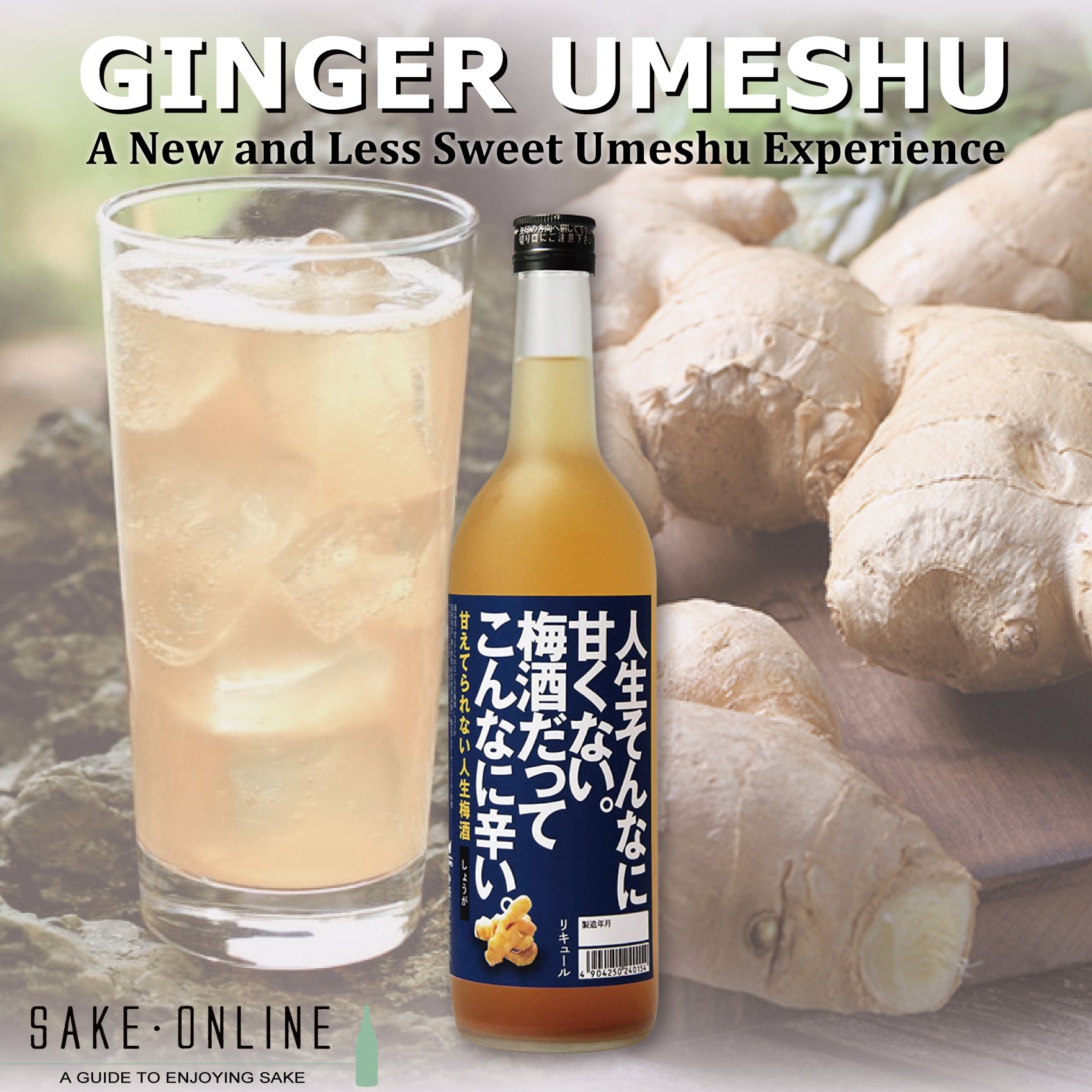 Ginger Umeshu: A New and Less Sweet Umeshu Experience | Sake Online ...