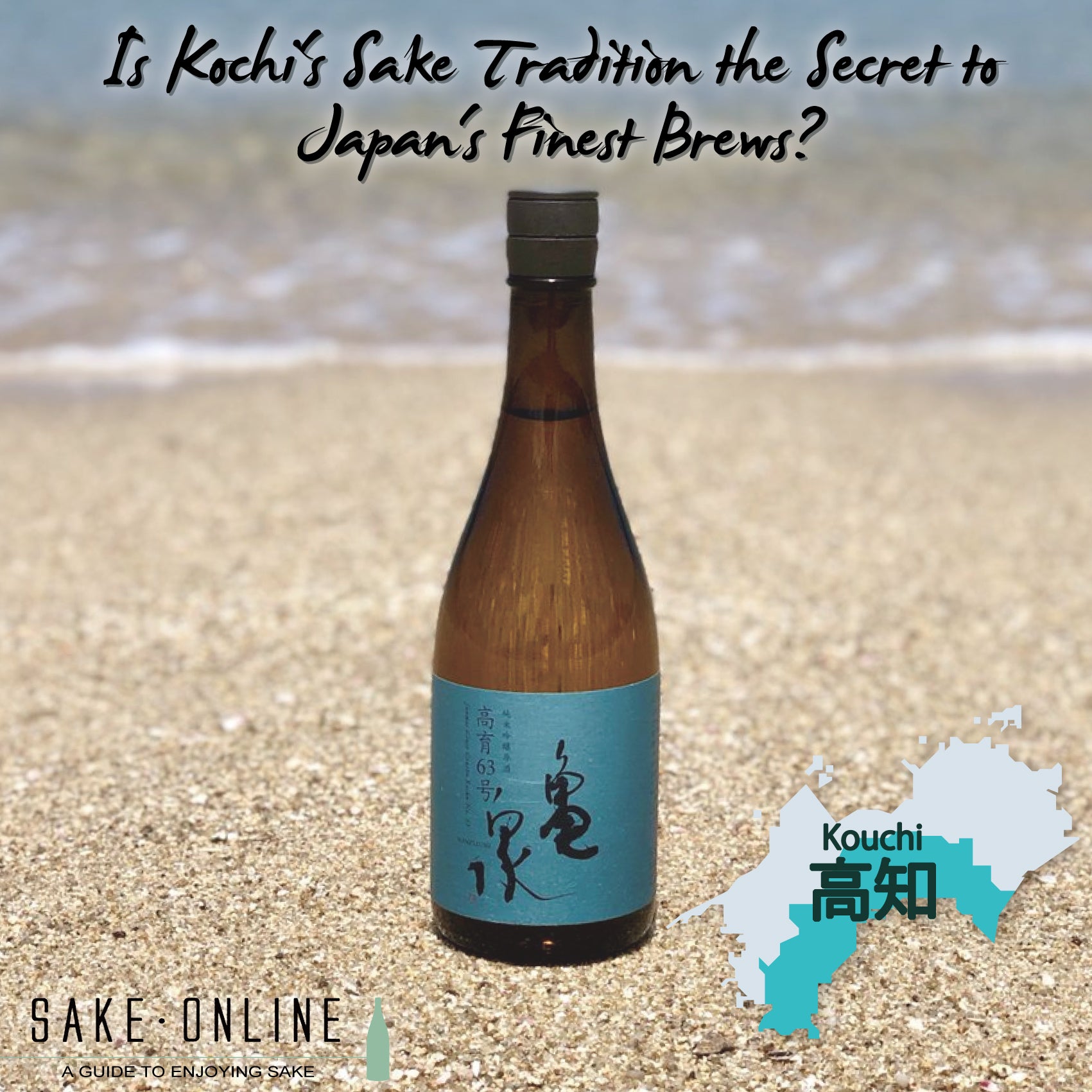 Is Kochi's Sake Tradition the Secret to Japan's Finest Brews? – Sakeonline