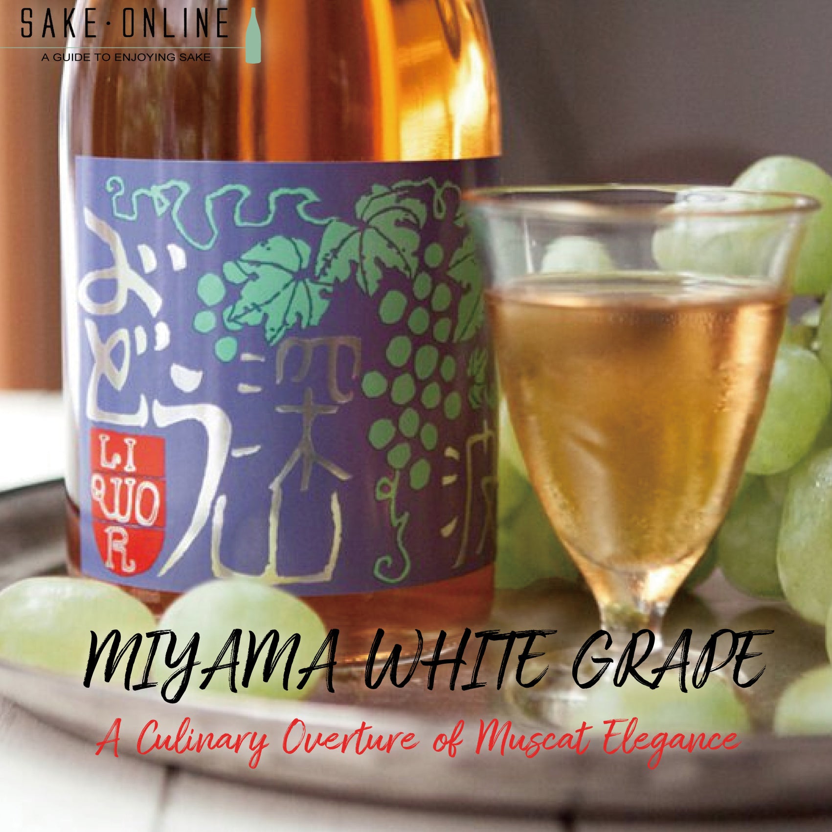 Miyama White Grape: A Culinary Overture of Muscat Elegance and Three W – Sakeonline