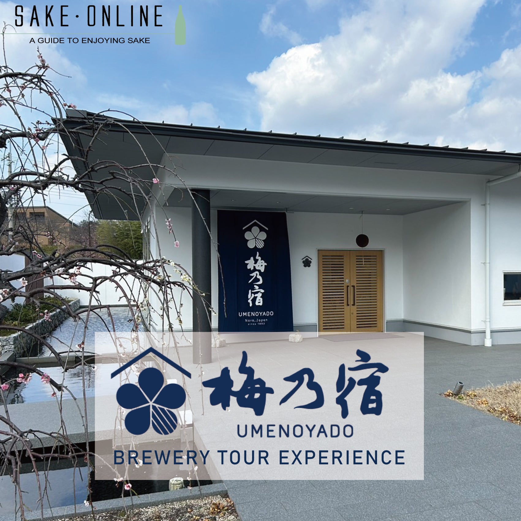 Sake Online Staff's Brewery Tour Experience – Sakeonline
