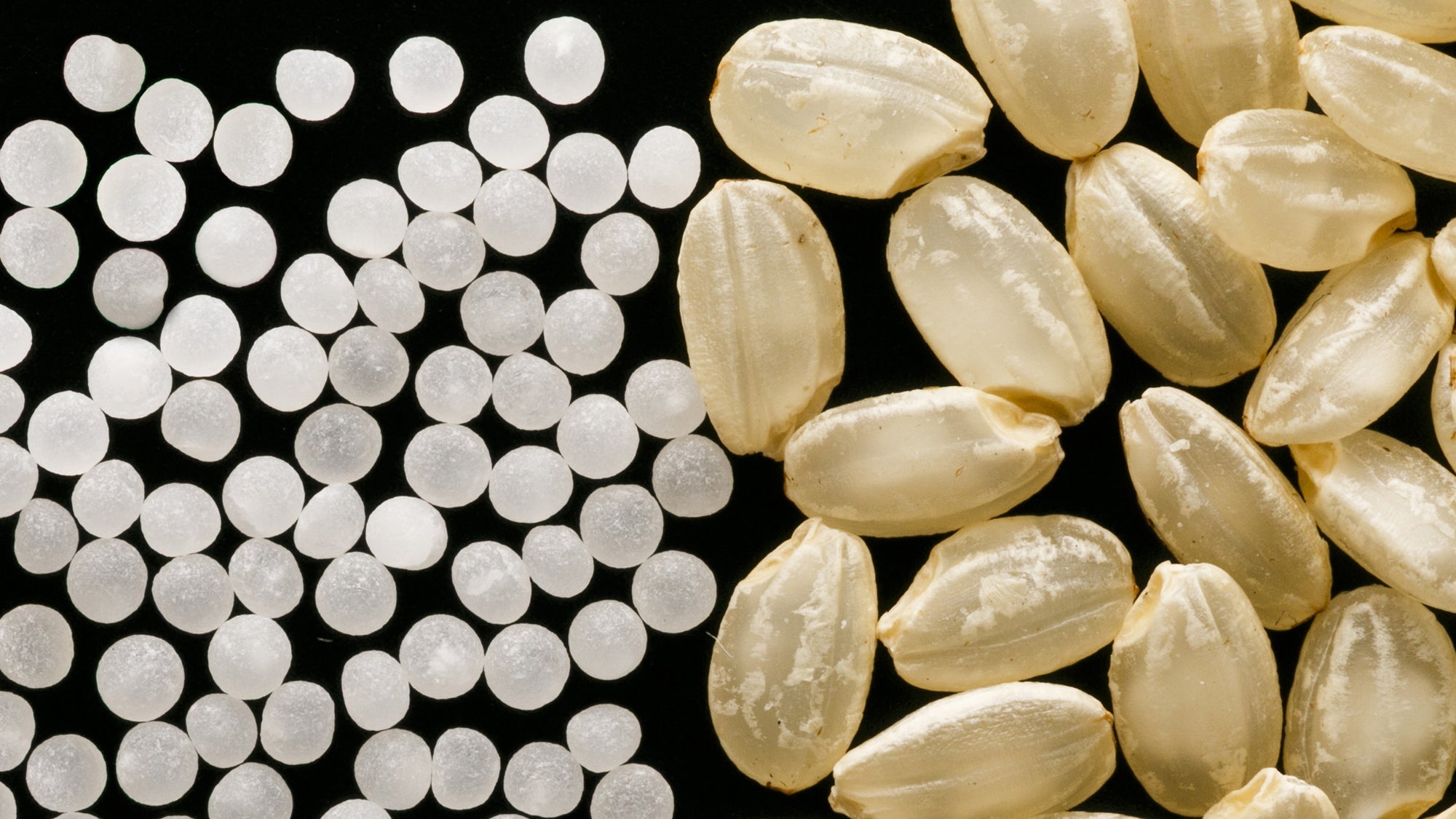 Sake Producers – Sakeonline