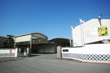 Nakano BC Ryokucha Green Tea Umeshu Plum Wine Liqueur 720ml - Sake ...